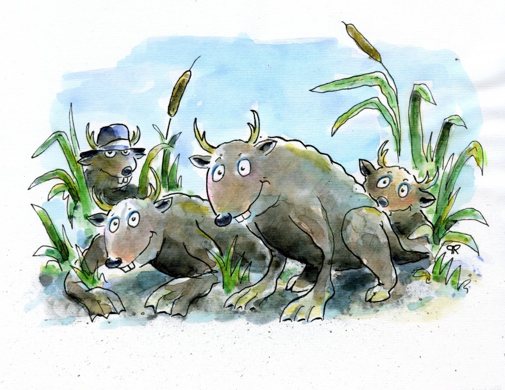 Moos Dilldapp » Schwenningen