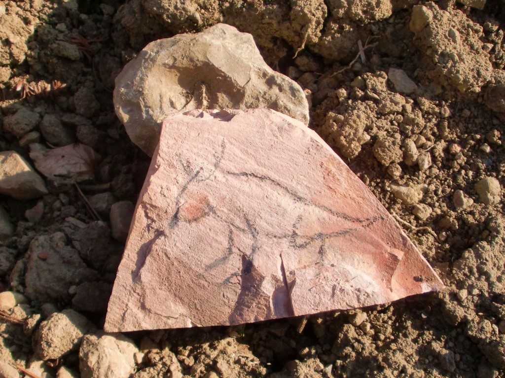 Moos Dilldapp » Niedereschach